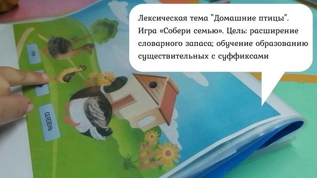Фрагменты логопедических занятий 5