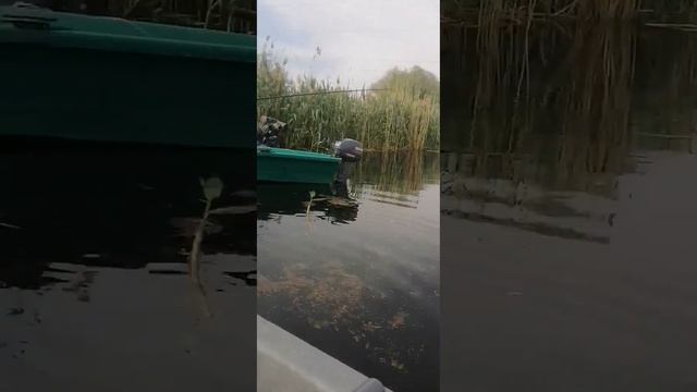 Подводный охотник на рыбалке)))