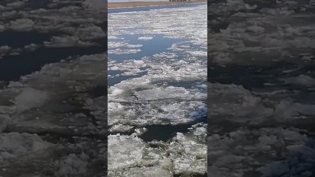 Ледовая обстановка на реке Бахтемир  в районе порта Оля