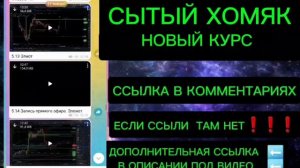 Слив курса Сытый Хомяк 2024 Обучение от Лев Дмитриевич Сытый Хомяк