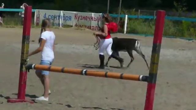 9-й Бывалинский Православный Фестиваль Кузнечного Искусства, 27 июля 2014 г - 8