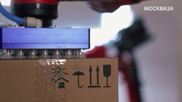 Москва 24: Революция в укладке продукции — роботизированное решение от TECHNORED