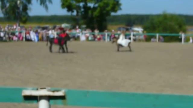 9-й Бывалинский Православный Фестиваль Кузнечного Искусства, 27 июля 2014 г - 12