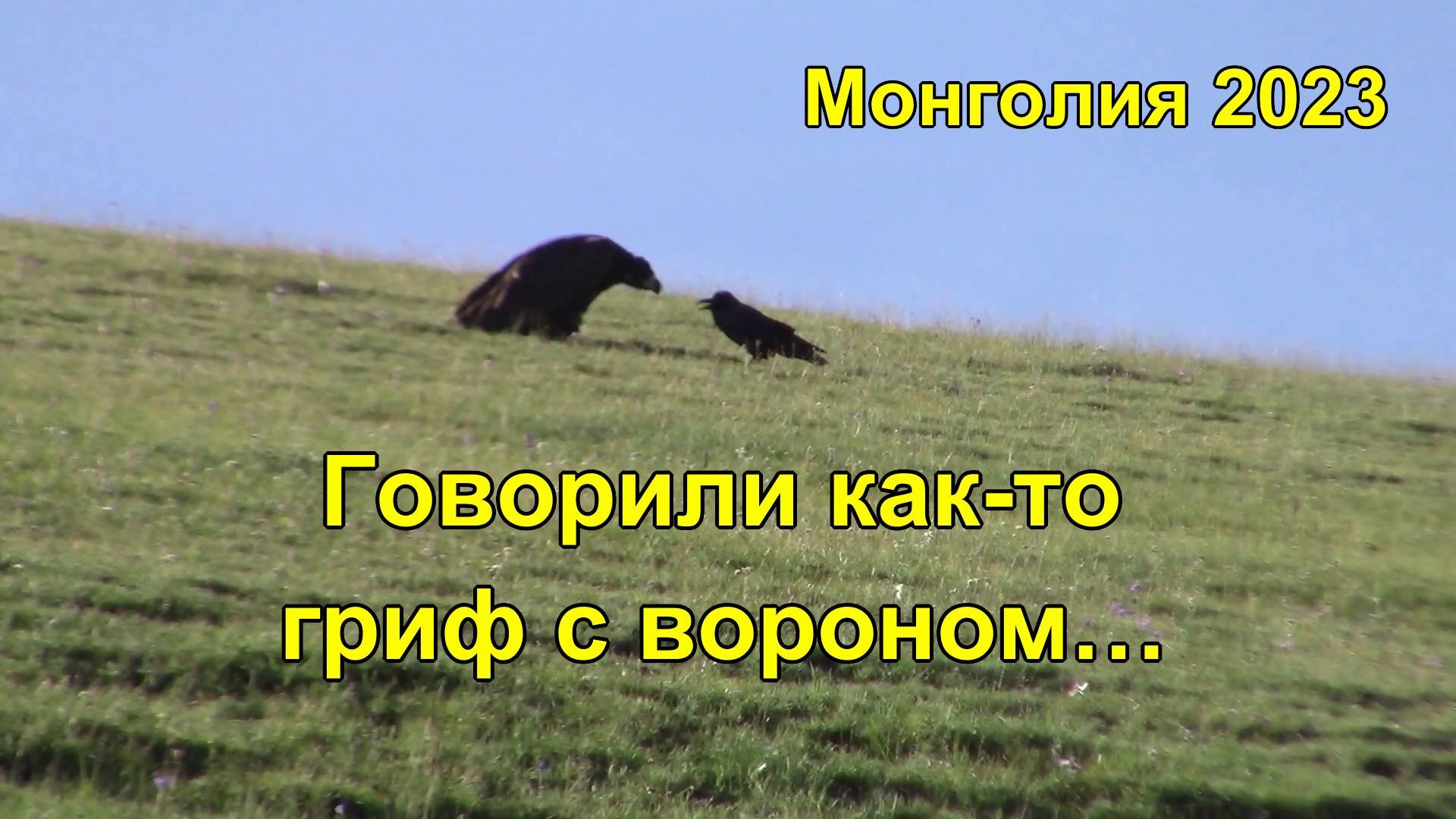 Говорили как-то гриф с вороном...