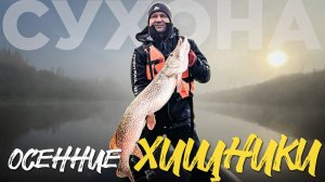 ЖДАЛ ЕГО ВСЕ ЛЕТО. Новый  РЕКОРД ПО СУДАКУ. Рыбалка в октябре.