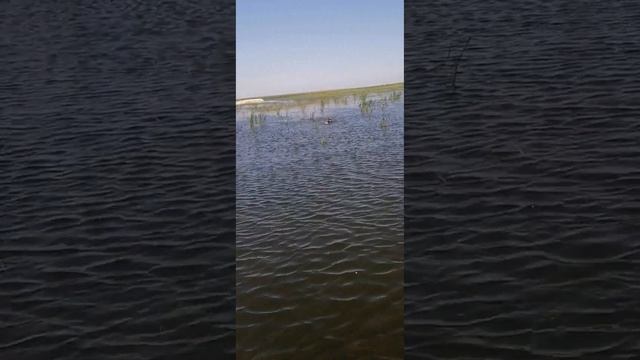 подводная охота на раскатах