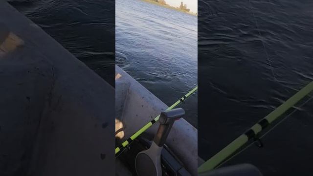 Поклёвки идут одна за одной. Рыбалка в Рыбное месте. Главный Банк, река Бахтемир.