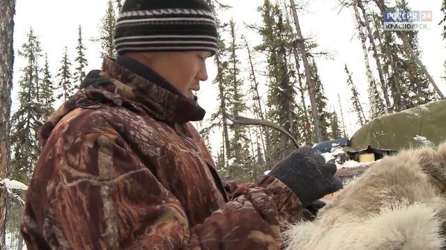 Эвенкия между прошлым и будущим. Оленные люди