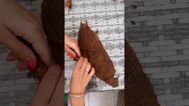 #выездныемастерклассы #кубинскиесигары #мастерклассмосква