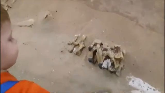 Музей 2018