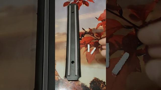 Держатель для ножей магнитный. Цена 149р. Куплен в магазине Галамарт.