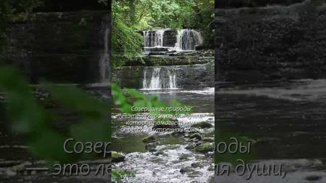Звуки природы перед сном помогают снять стресс
