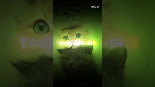 Ми!лахи!
