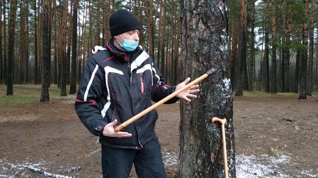 Трость деревянная для ходьбы плюсы и минусы её покупки