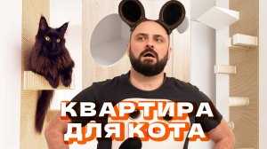 Обзор светлой ДВУШКИ для семьи с ребенком и котом