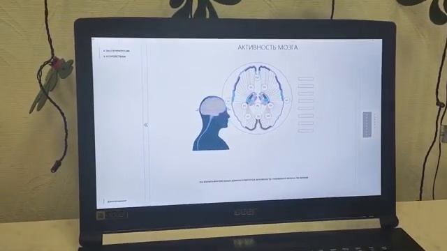 Нейробудильник
