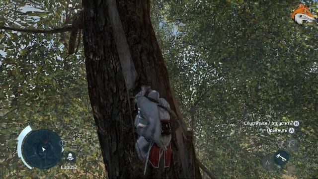 Assassin's creed 3 Залазим на точку обзора(дуб) на фронтире