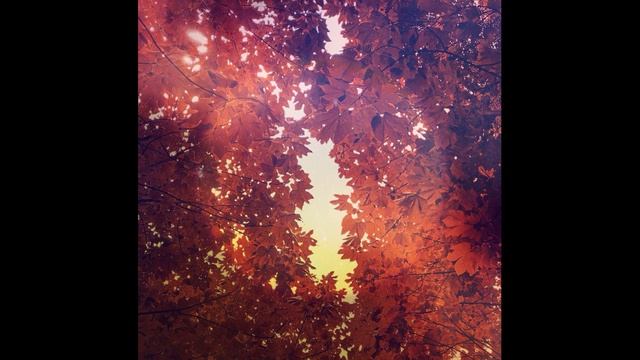 Sunbyonic - Burning (Garage)