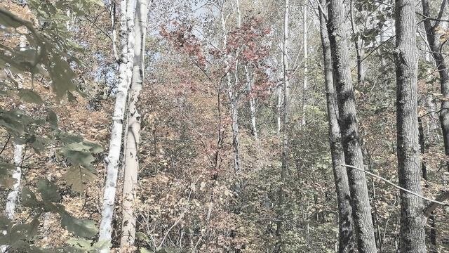Осень пришла/осенние пейзажи Хехцира/авт. фото, видео: Мария Собакарева