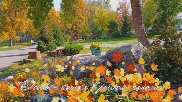 "Осень-кошка в рыжих сапогах"