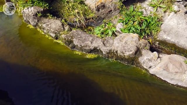 НЕВЕРОЯТНОЕ В ПЕРУ_ CAJAMARCA