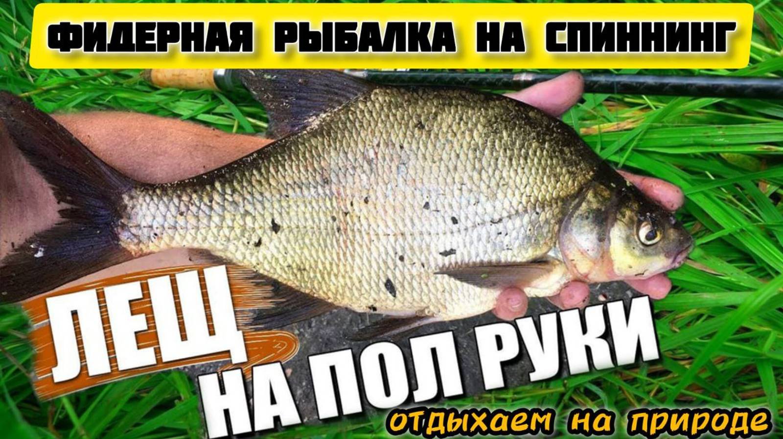 Ловим леща на спиннинг. ФИДЕРНАЯ рыбалка на оке на донки с кормушкой арбуз. Отдыхаем на природе