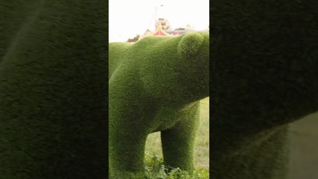 Благоустройство с. Темкино