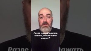 Разве можно сажать ели на участке или рядом?
