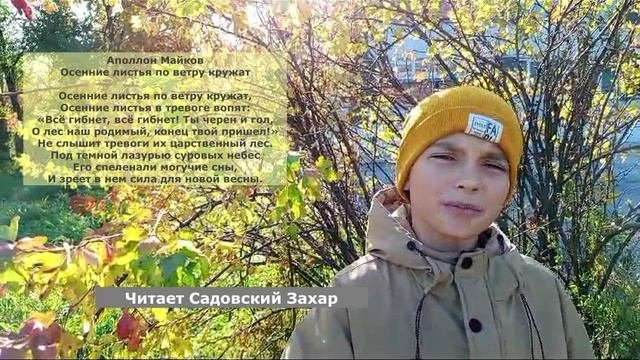 Осенние листья кружат_ Садовский Захар