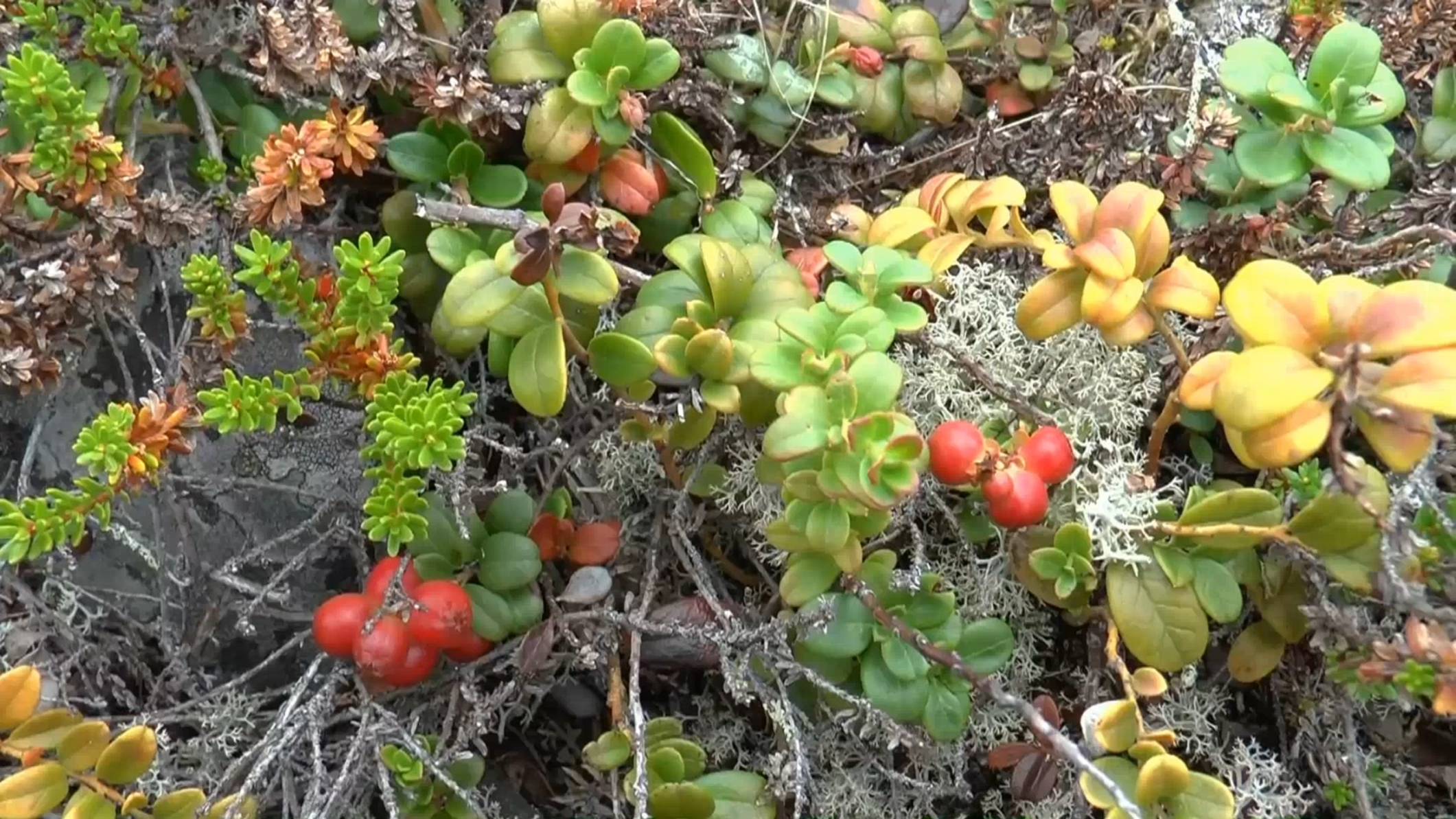 Соловки_2014_ч.4