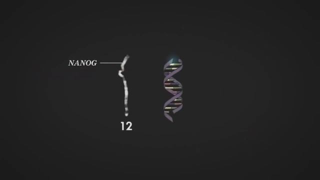 Удивительные примеры эволюции внутри вашего тела