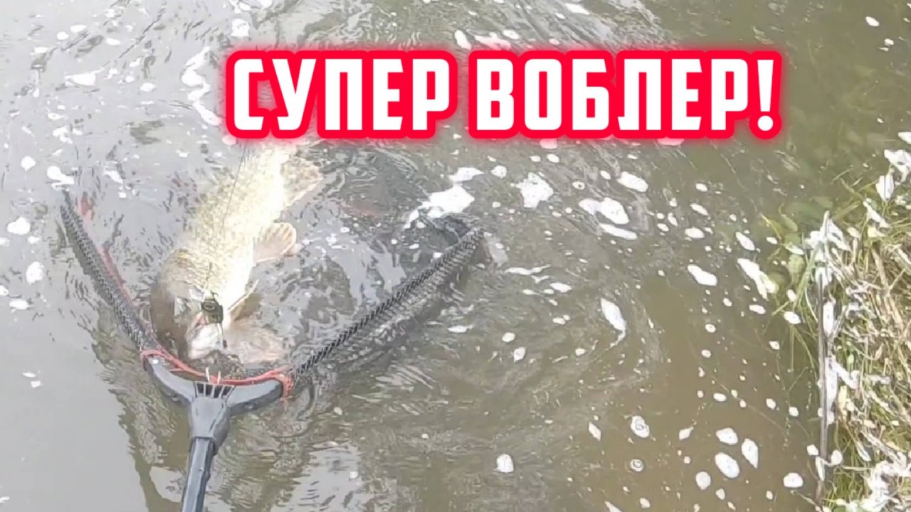 Ловля щуки на лучшый воблер! Стоит поставить spro Iris Underdog 80 и происходят паклёвки трофеев!