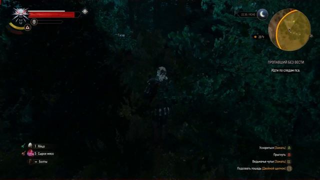 The Witcher 3: Wild Hunt: Йеннифэр