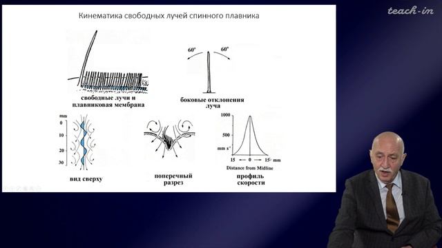 4. Общее химическое чувство. Сенсорные системы рыб - Касумян А. О. Teach-in.