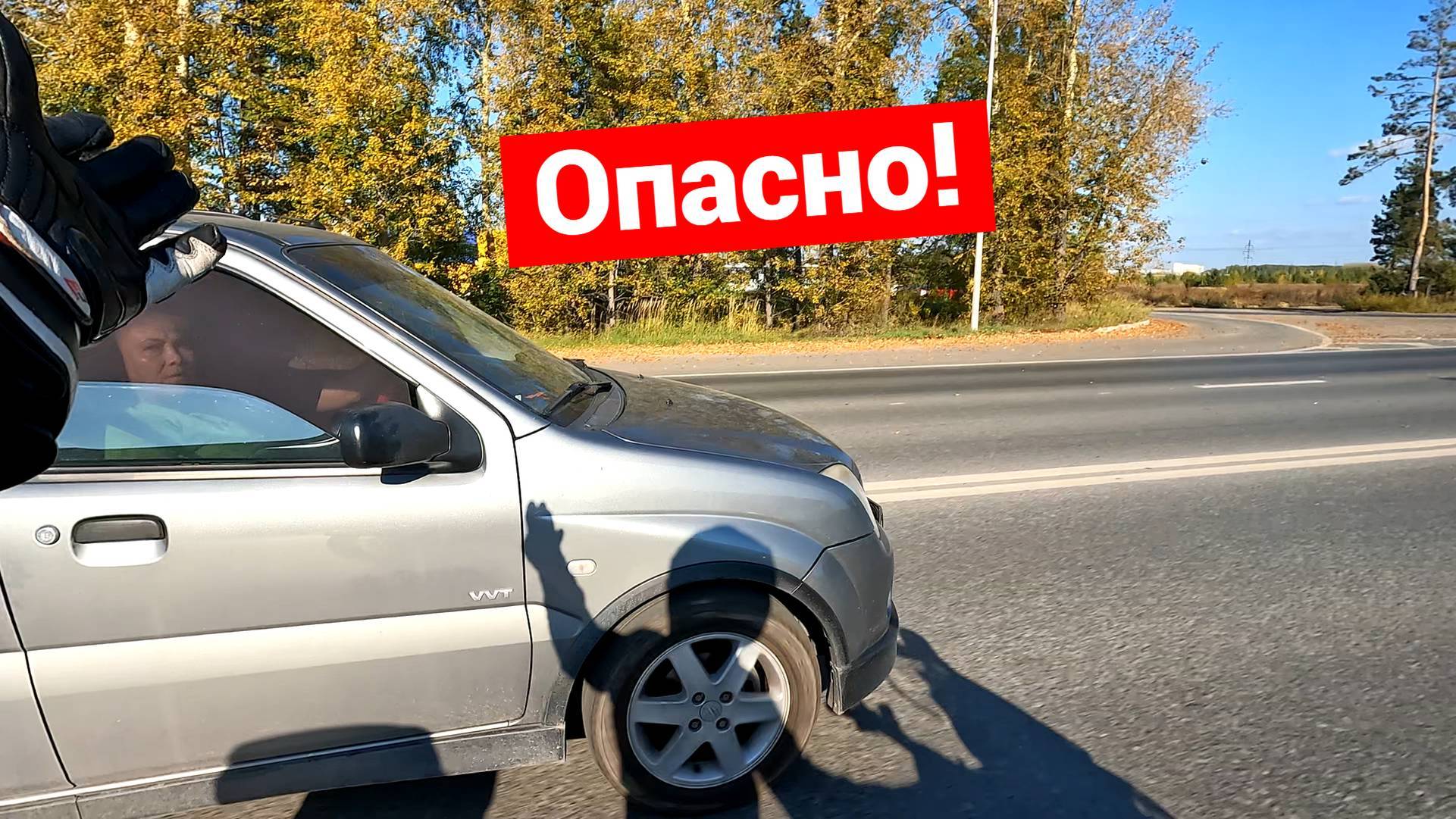 Квест "постановка на учет" | Олени на дорогах