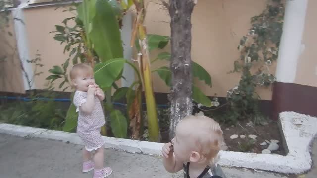 На прогулке (сентябрь 2024)