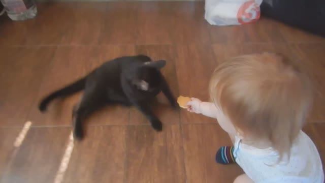 "Киска и сыч" (Эдвард Лир)