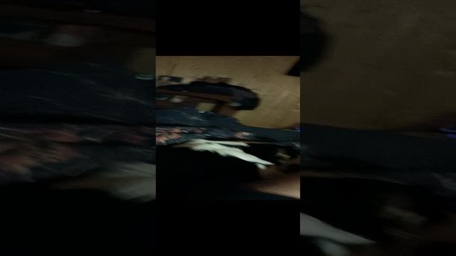 1000032285.mp4