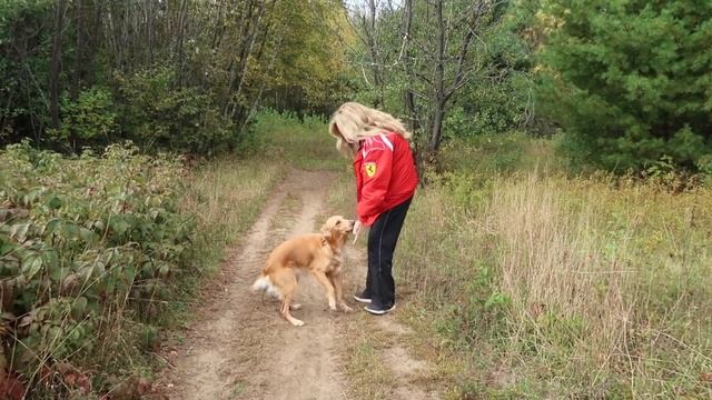 iPhone XS Unboxing + fall vlogs are back! - смотреть видео онлайн от ...