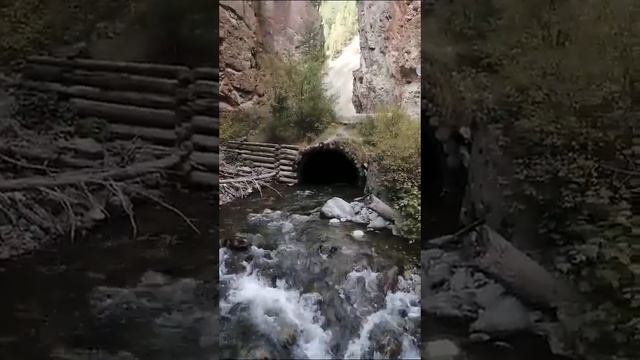 Алтай