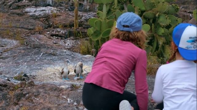 Rise_and_Shine_5_Unit_1