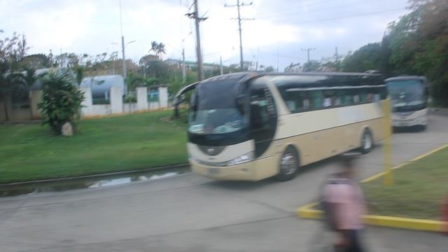 MVI_3174