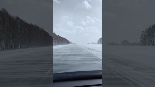 Новосибирск - Кемерово 17 марта 3