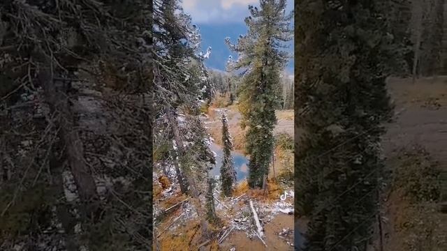 #алтай #altay #mauntain #trip #roadmovie #traveling #glktelesky #телецкое #gigabyte #w #woo #nature