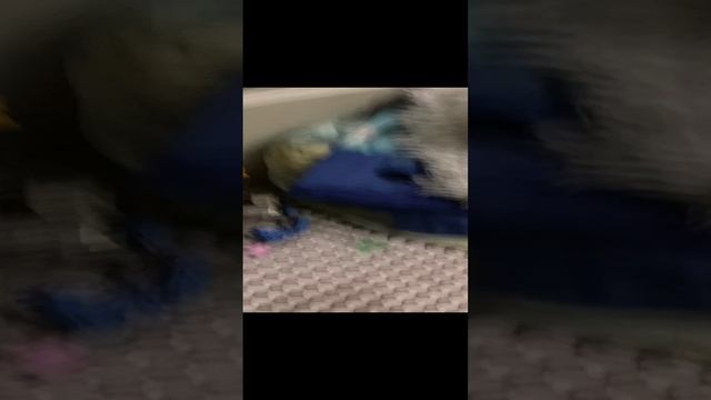 Скибиди роботы 16