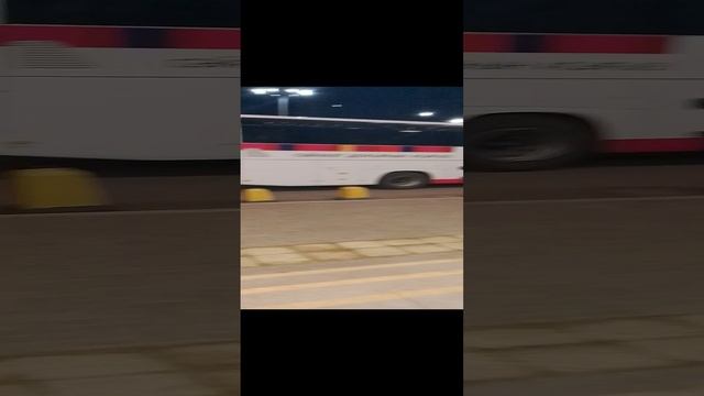 Уфа встретила детей с Донбасса