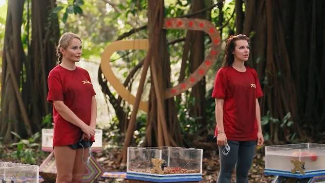 Звезды В Джунглях 4 Выпуск 2024 смотреть видео онлайн от «Звезды в Джунглях в хорошем