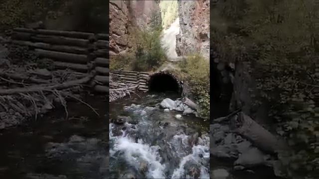 Горный Алтай. Водоскат на р.Чибитка.