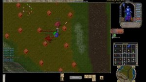 Vampire PvP гайд для новичков - Ultima Online UORPG