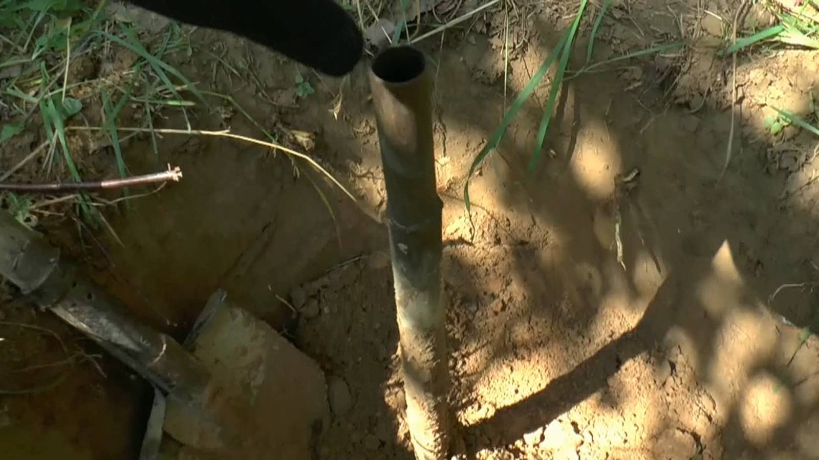 Тайна лесной трубы